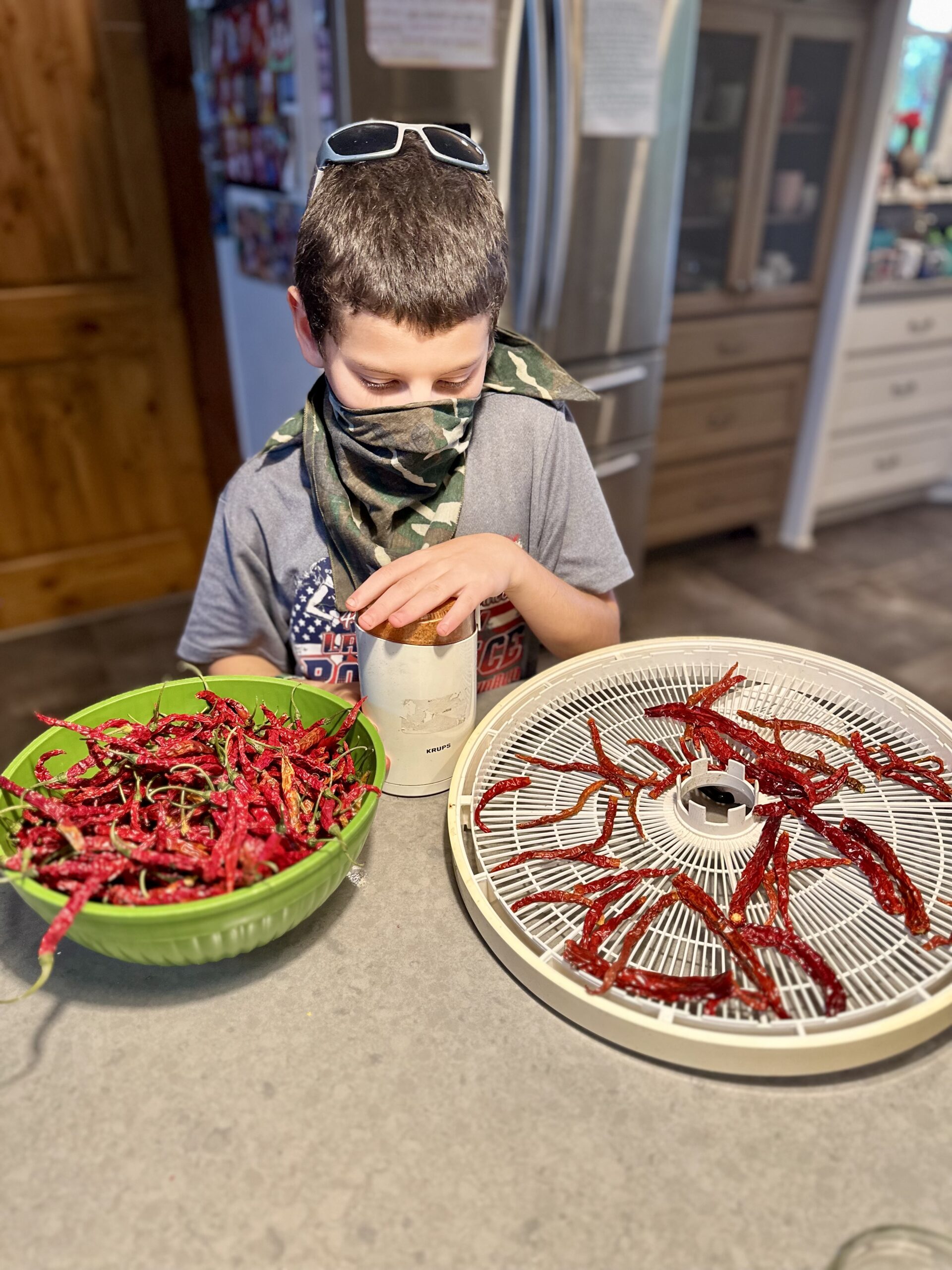 Easy Ways To Use Peppers - Reedwood Creek Farm