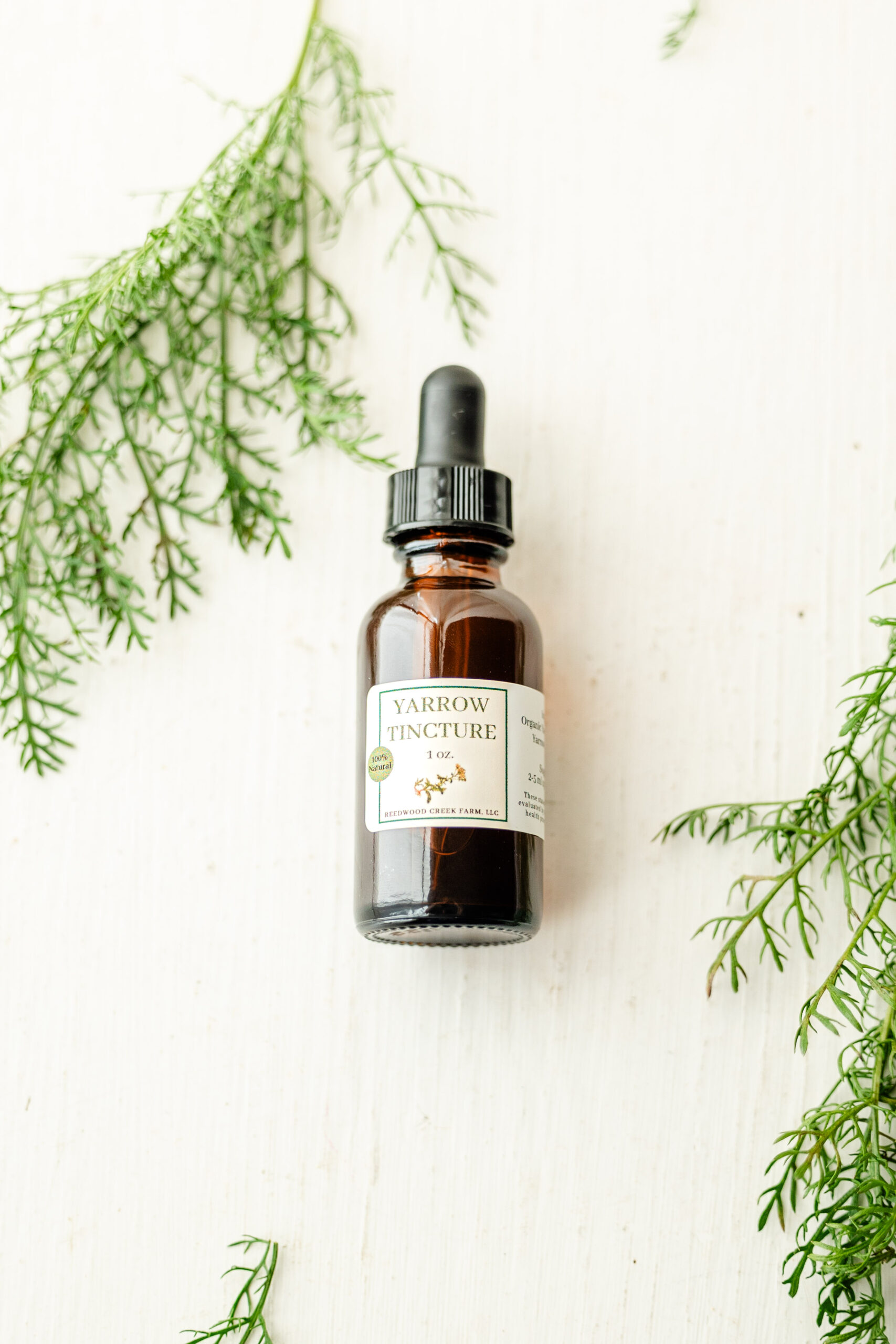 Organic Yarrow Tincture - Reedwood Creek Farm