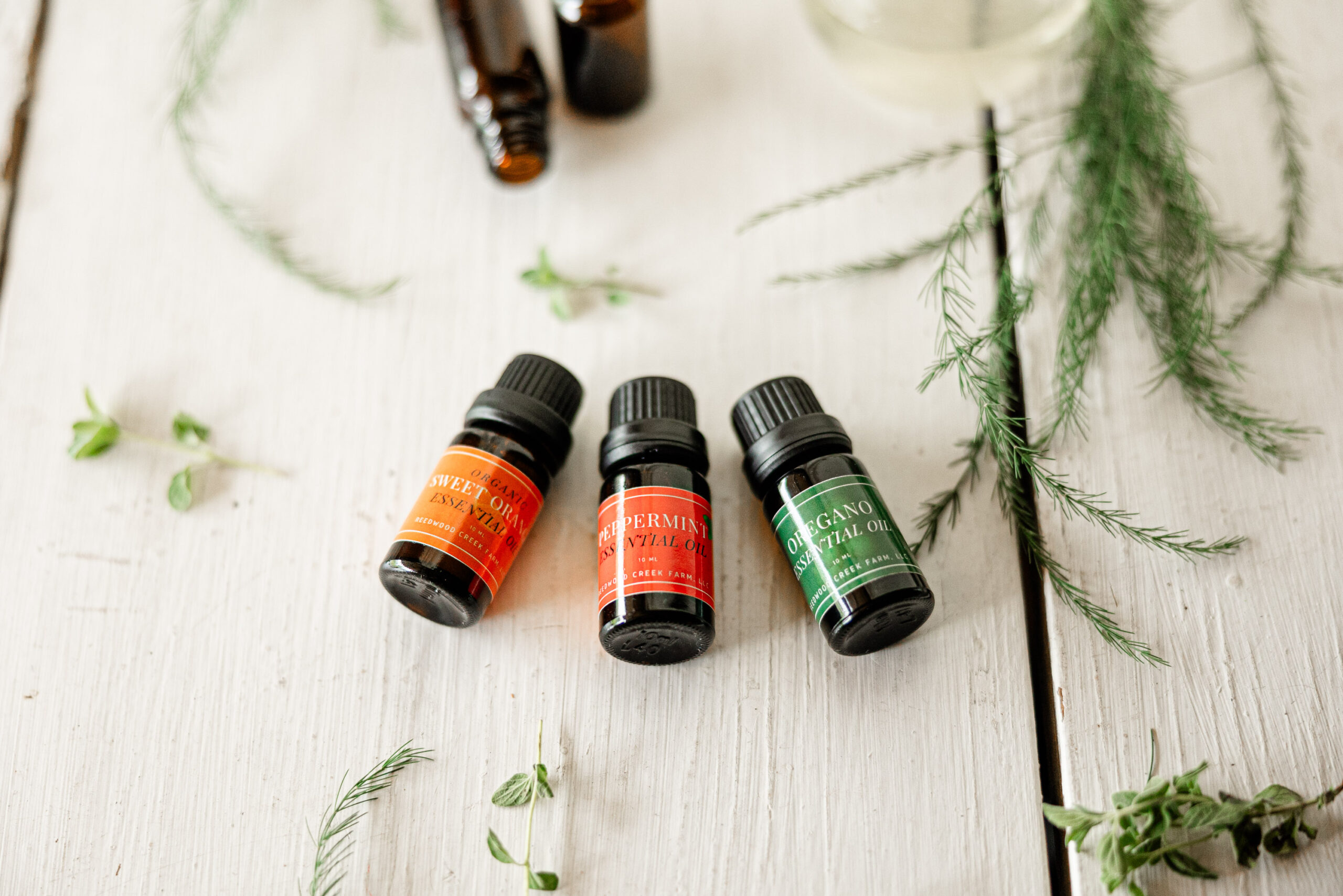 3 Favorite Essential Oils || And Why You Need Them - Reedwood Creek Farm