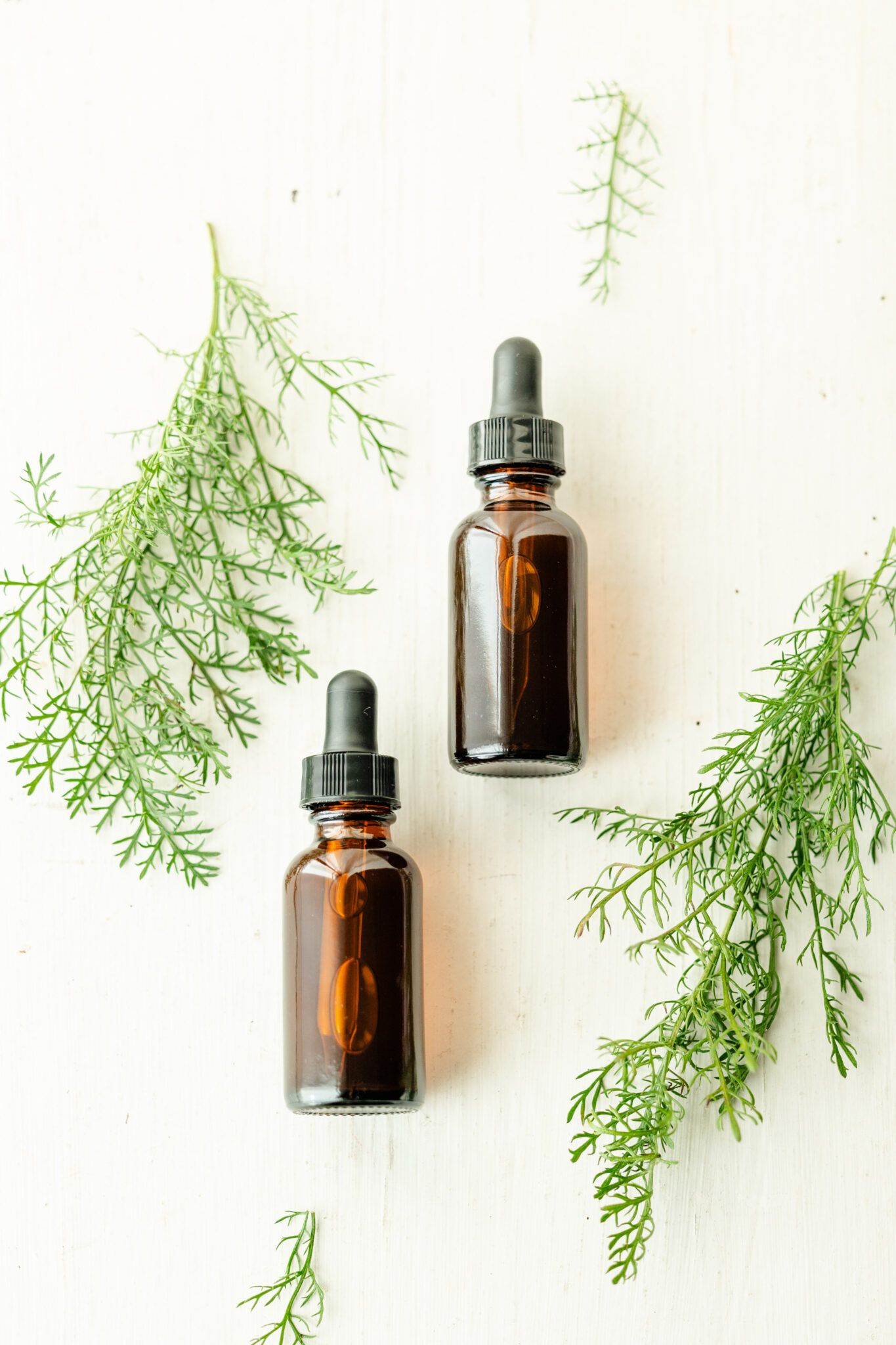 How To Make an Herbal Tincture - Reedwood Creek Farm